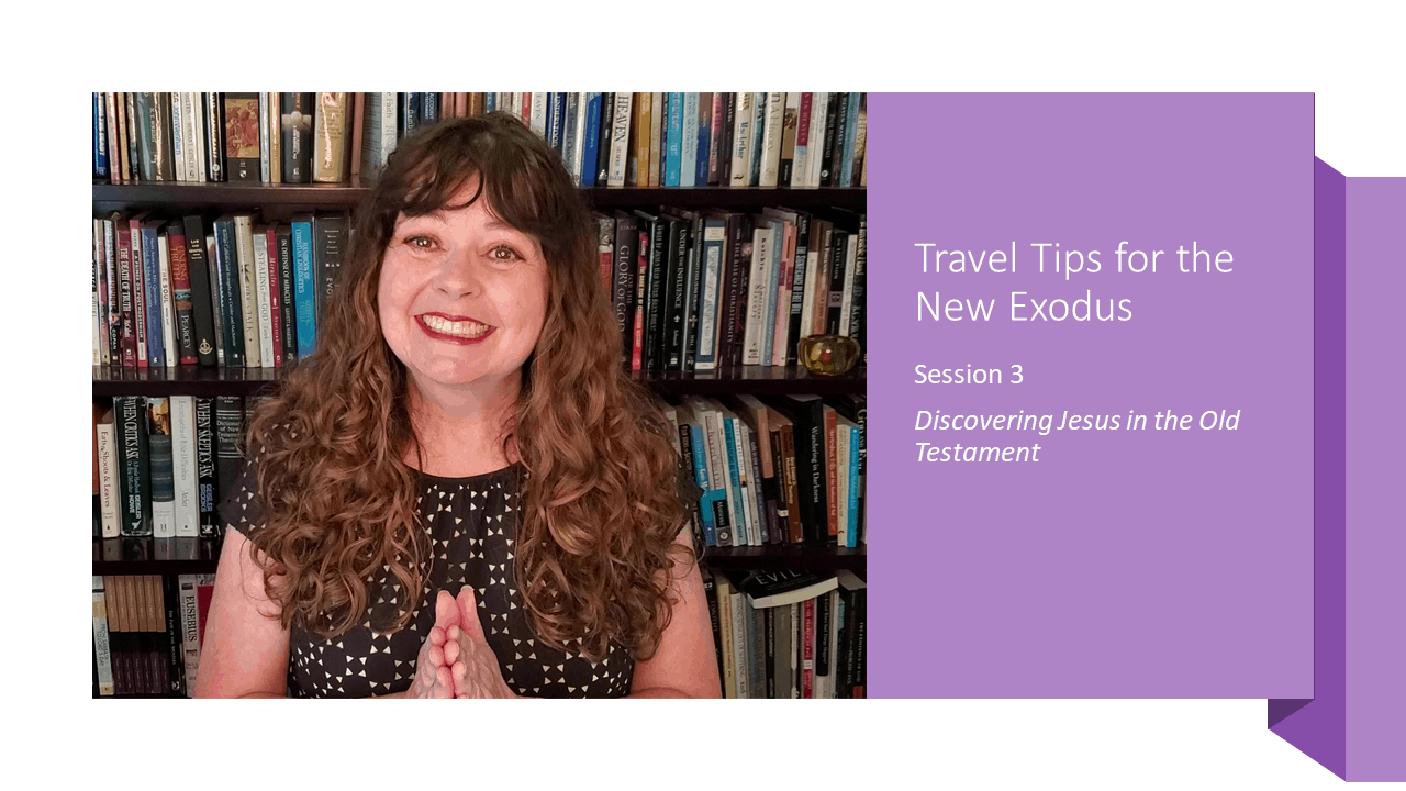 Travel Tips for the New Exodus - Jean E. Jones